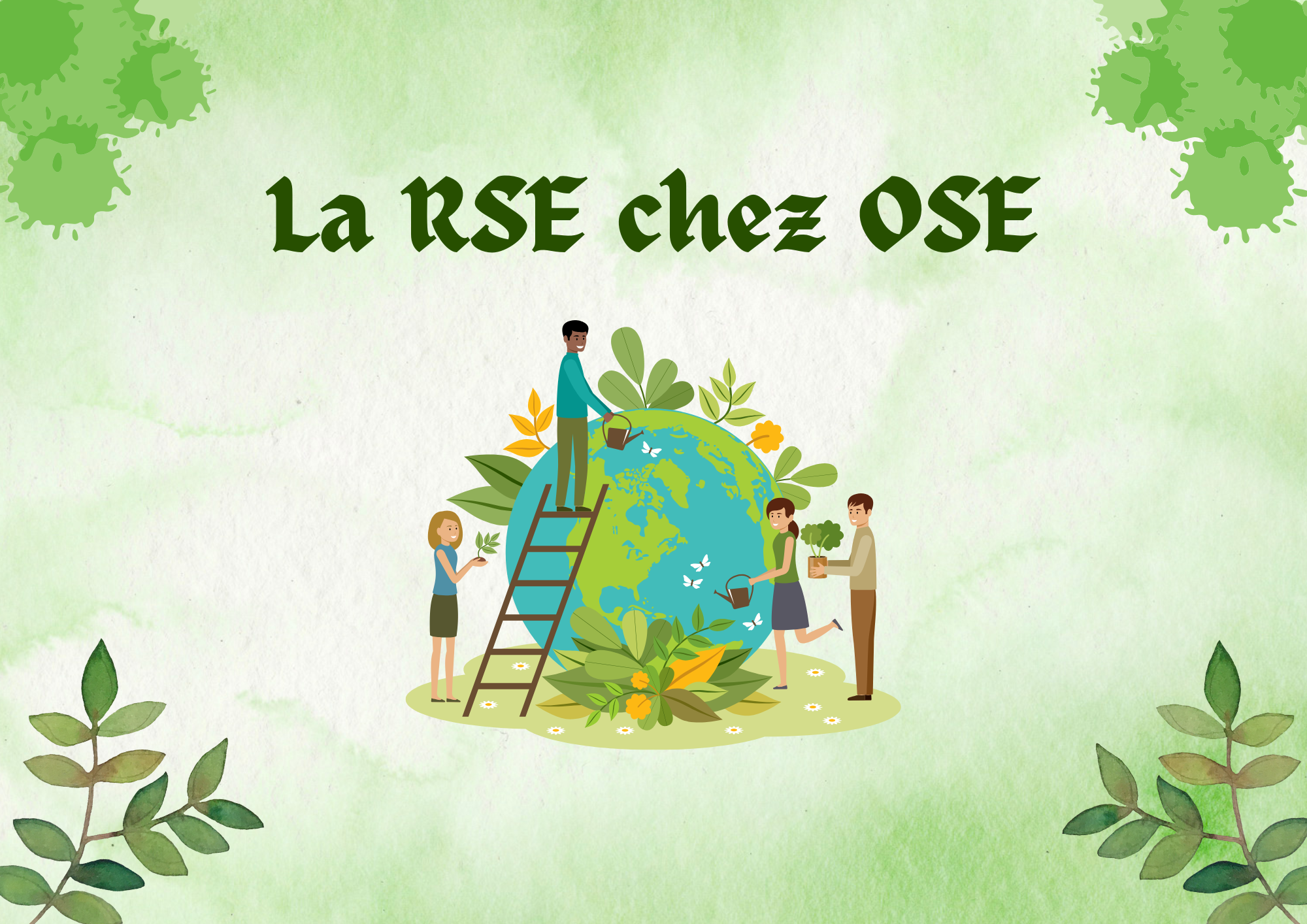 RSE - OSE